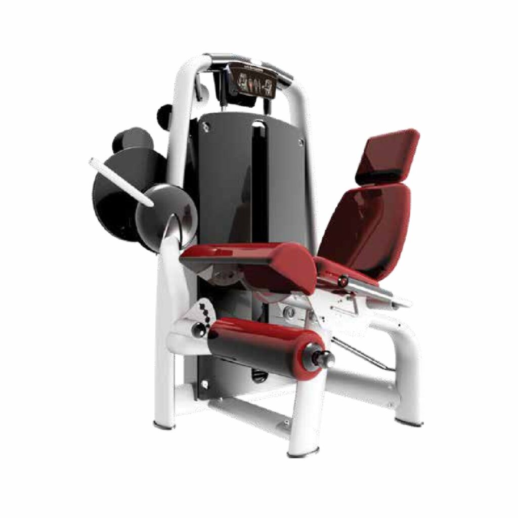SEATED LEG EXTENSION